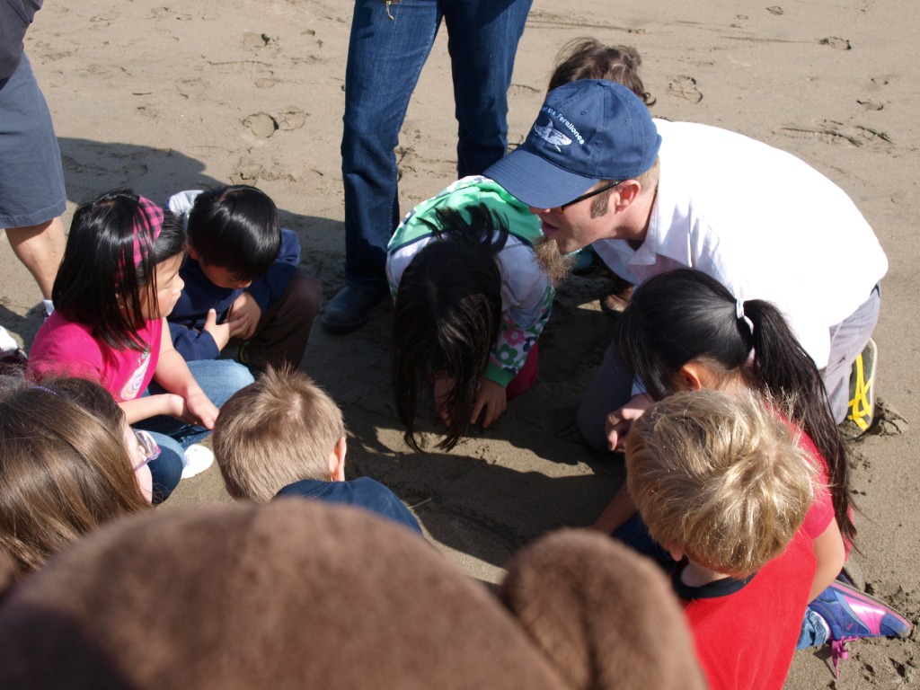 Adventures of Ed the Bear: Burrowing sand hoppers and great white Sharks