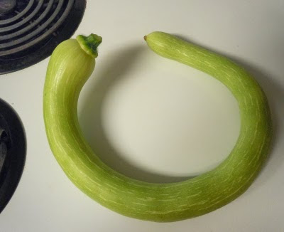 Kathy's Soup Kitchen: Zucchini 2.0