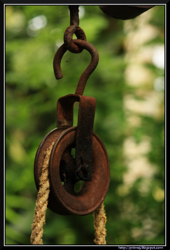 Prime Photos: Pulley