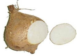 Groente en Fruit voor jou!: Yamboon