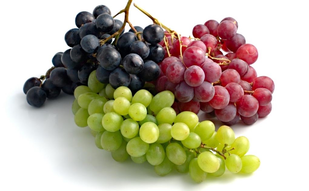 Groente en Fruit voor jou!: Druif