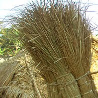 alang-alang atap | alang alang roofing | thatching | WARUNK ARSITEKTUR ...