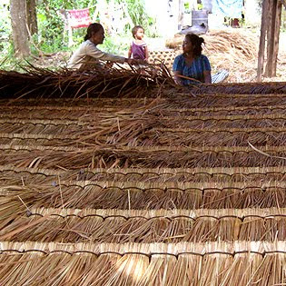 alang-alang atap | alang alang roofing | thatching | WARUNK ARSITEKTUR ...