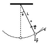 Ciências Exatas: Teoria do pêndulo Simples