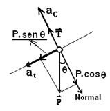 Ciências Exatas: Teoria do pêndulo Simples