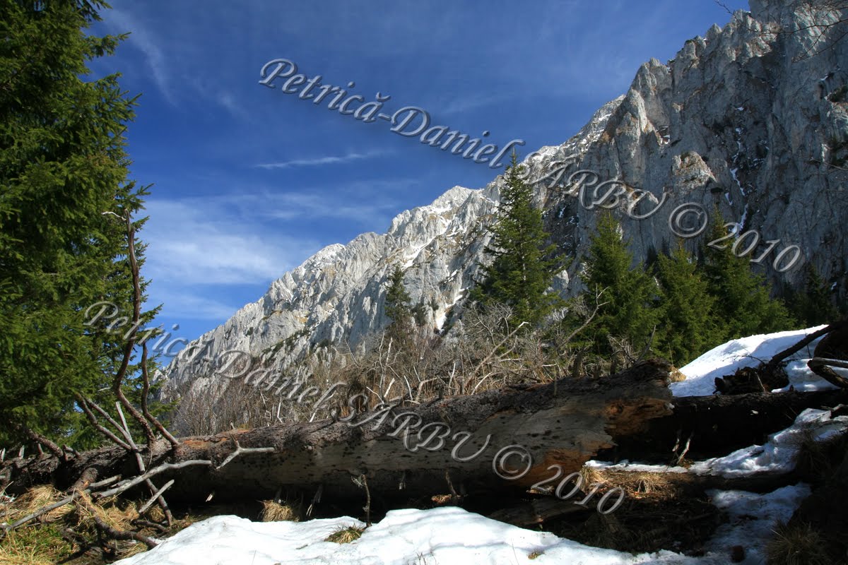 Petricã-Daniel SÂRBU Photography: Nature