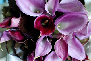 Maranda's Wedding Ideas: Black and White/ Plum and Purple