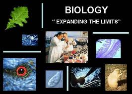 Biology is Fun: BIOLOGY-Bio I