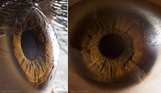 Iuri Blog: Incriveis imagens do olho humano