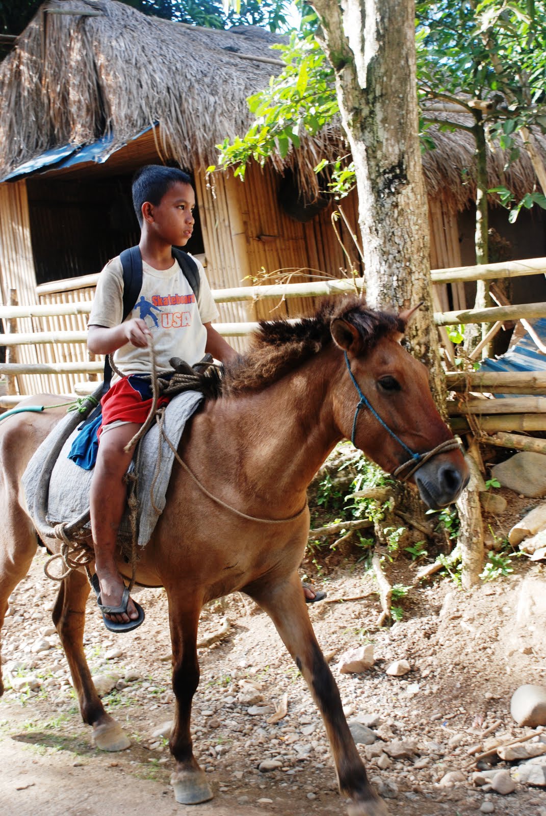 Marinduque Rising: No Jueteng in Marinduque? Look again now.