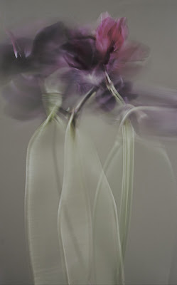 vermillion: Bill Beckley