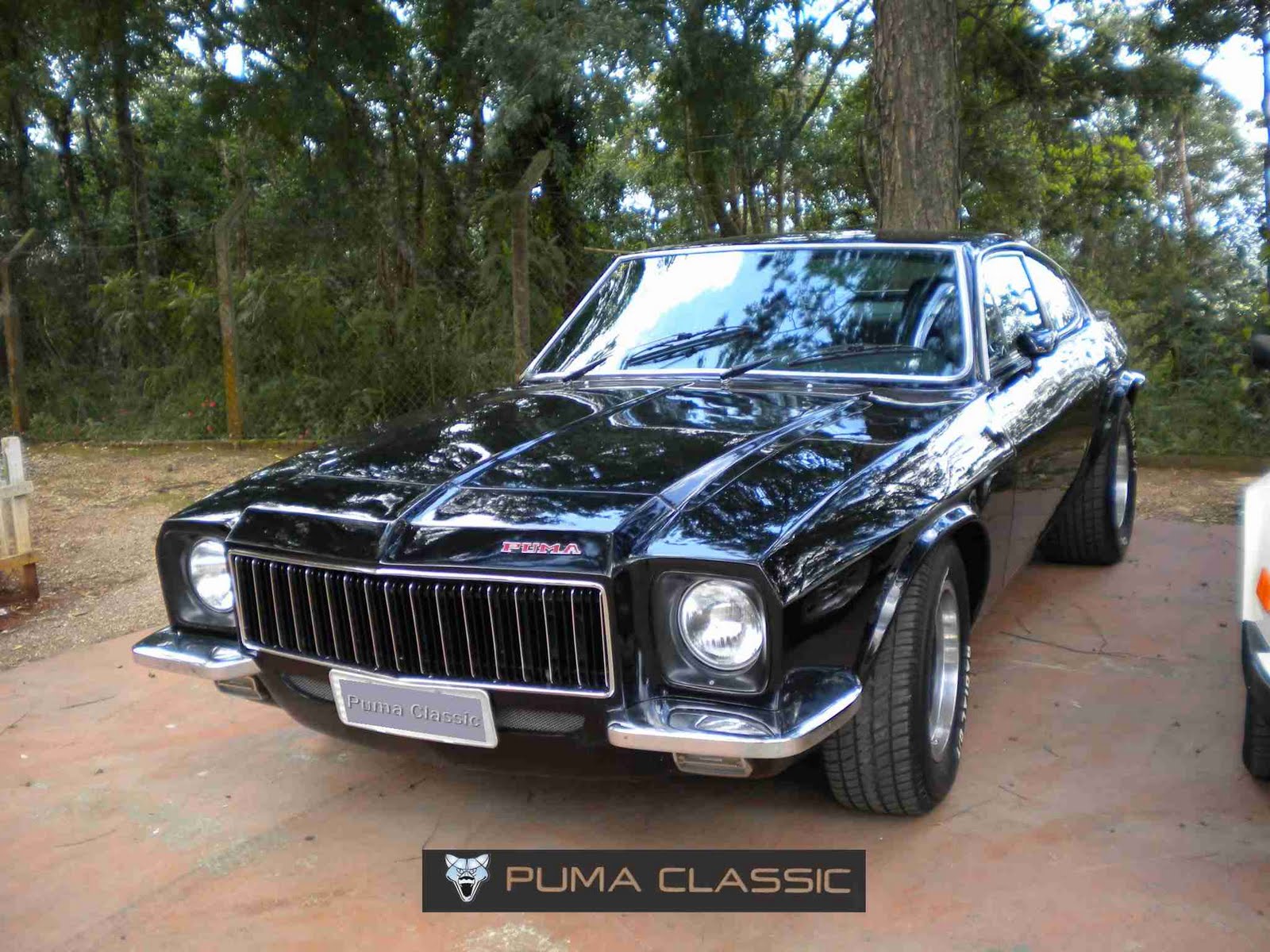 Puma Classic: Puma de amigo - GTB 1977 Street