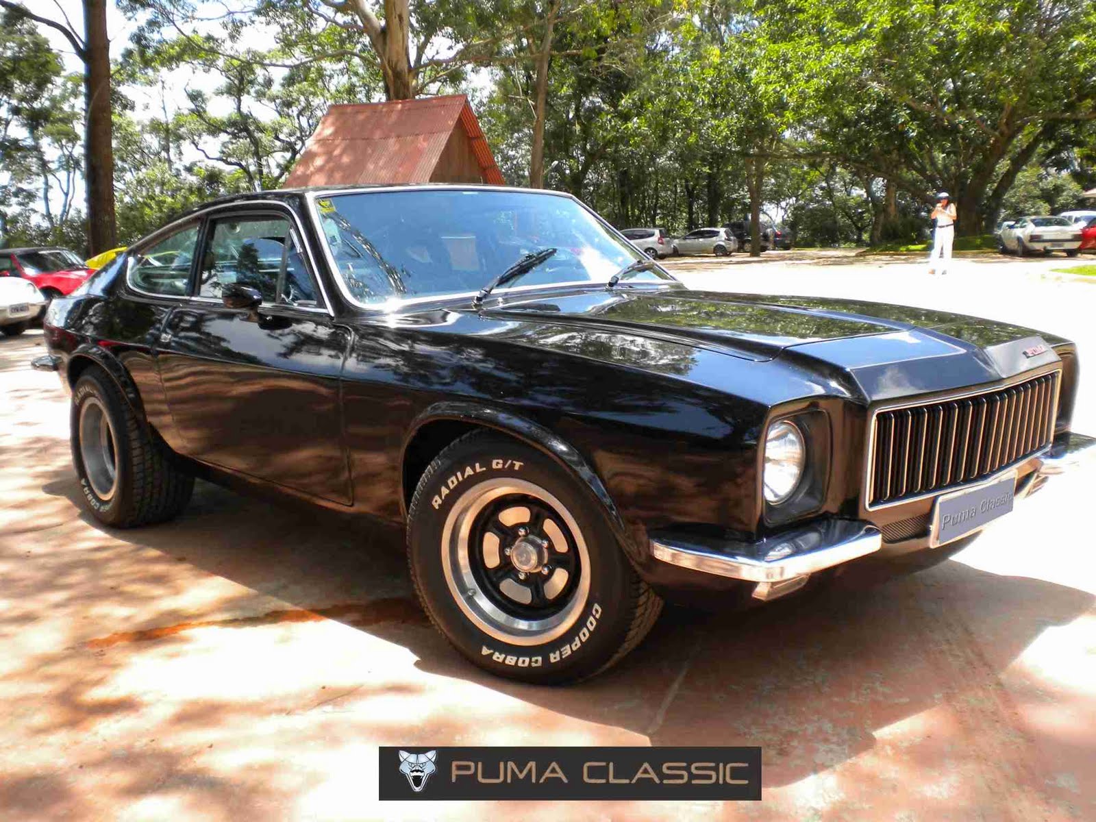 Puma Classic: Puma de amigo - GTB 1977 Street