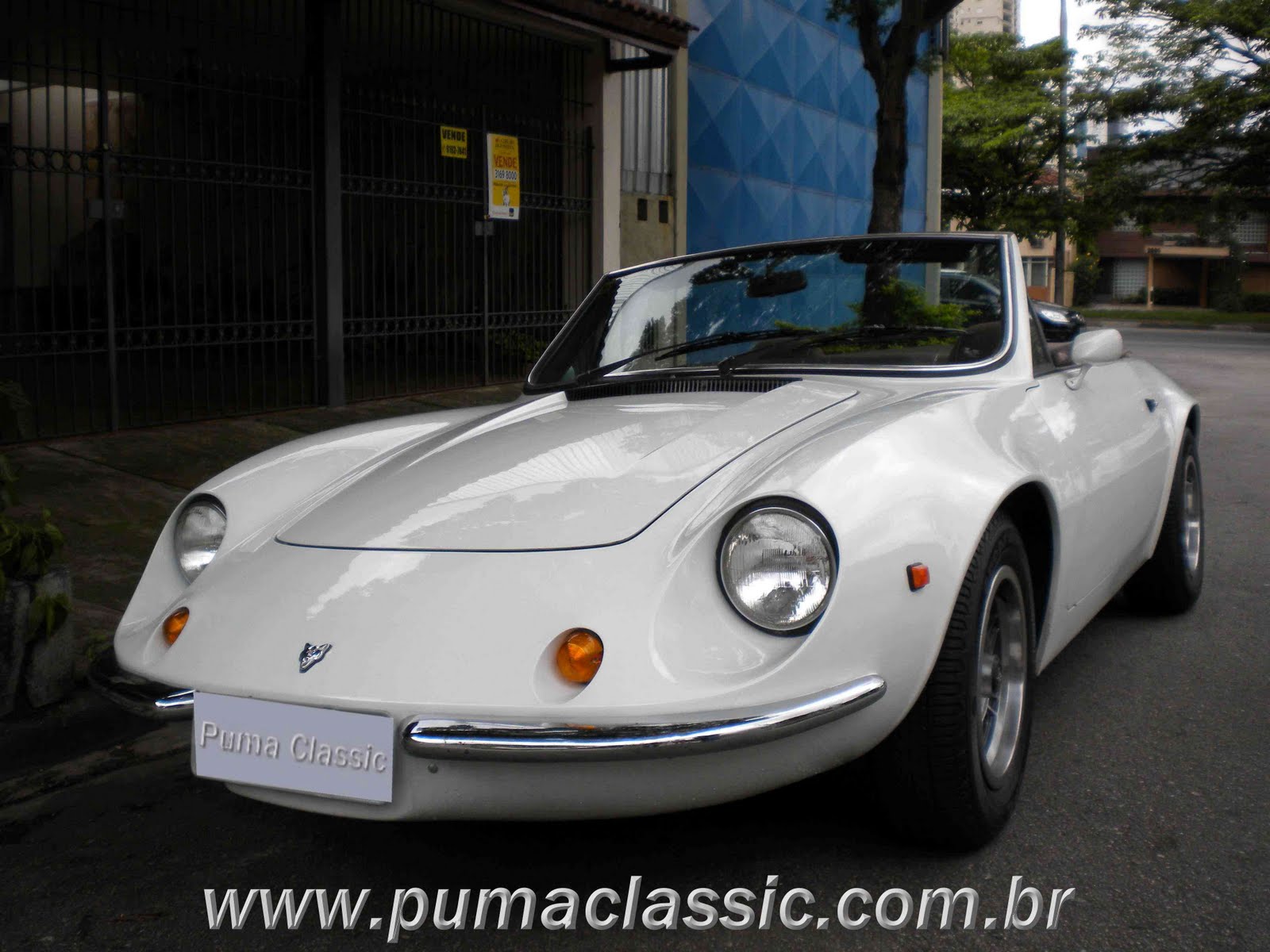 Puma Classic: Puma de Amigo - GTS 1980 Monocromático