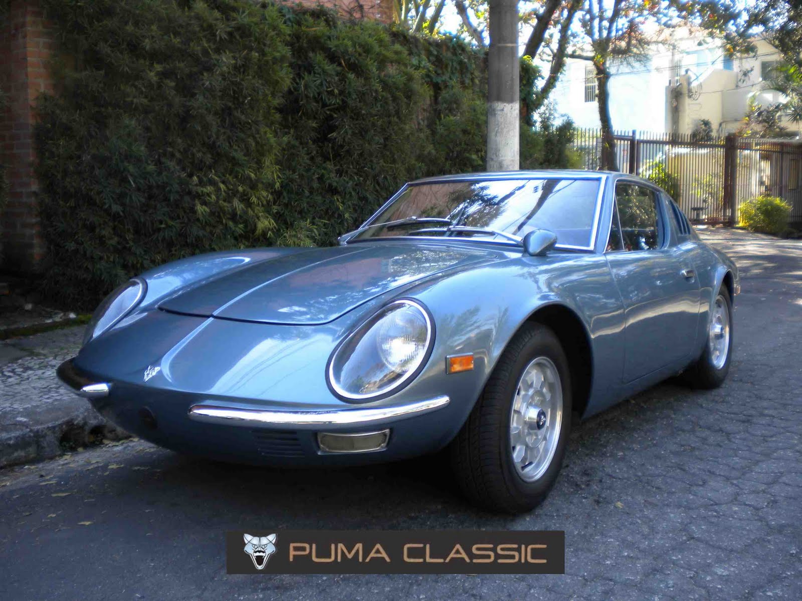 Puma Classic: Puma de amigo - GT 1970