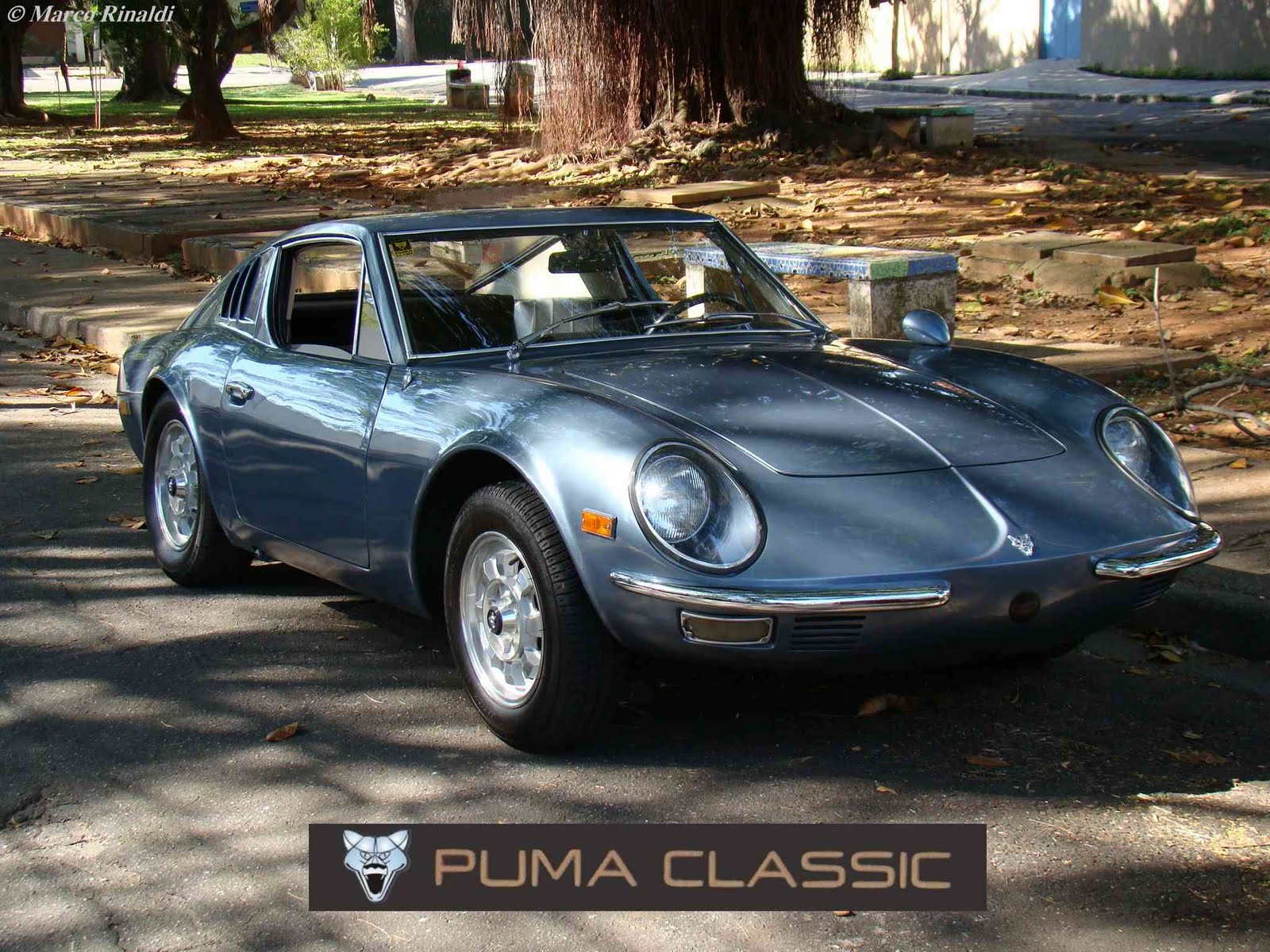 Puma Classic: The Best of Puma (1)