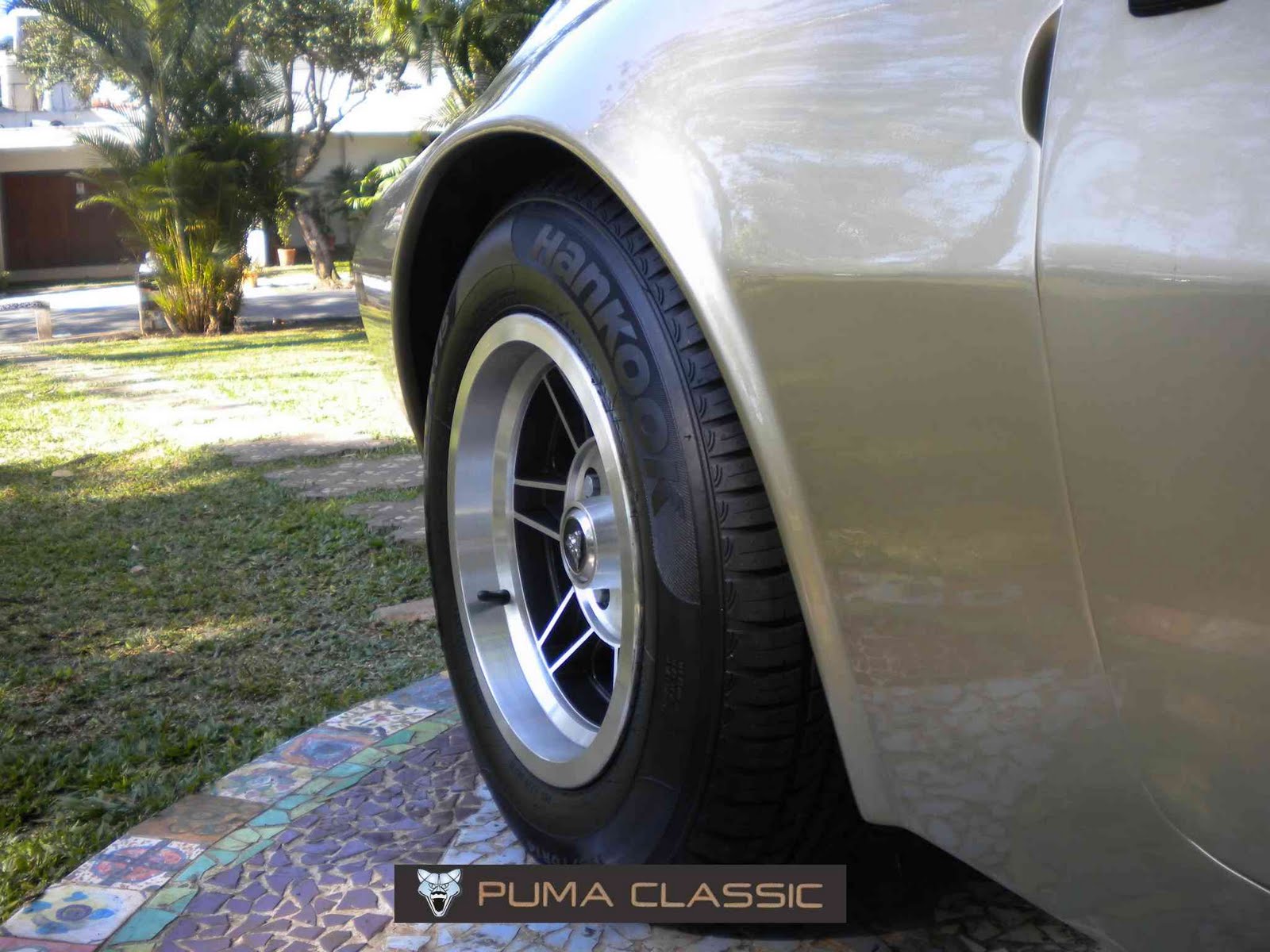 Puma Classic: Puma de amigo - GTE 1980 - 3a. parte