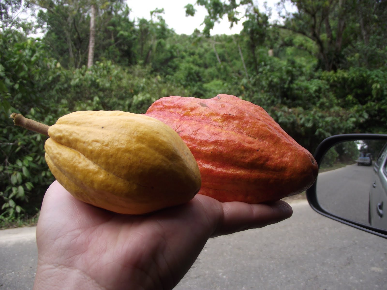 América Sin Fronteras: Cariaco a Caripito