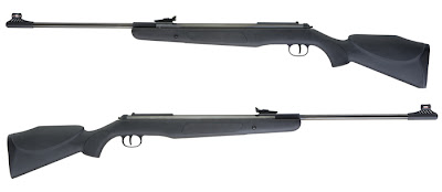 HOBBY IMPORT: Diana RWS 350 P Magnum Long-Range Breakbarrel, caliber ...