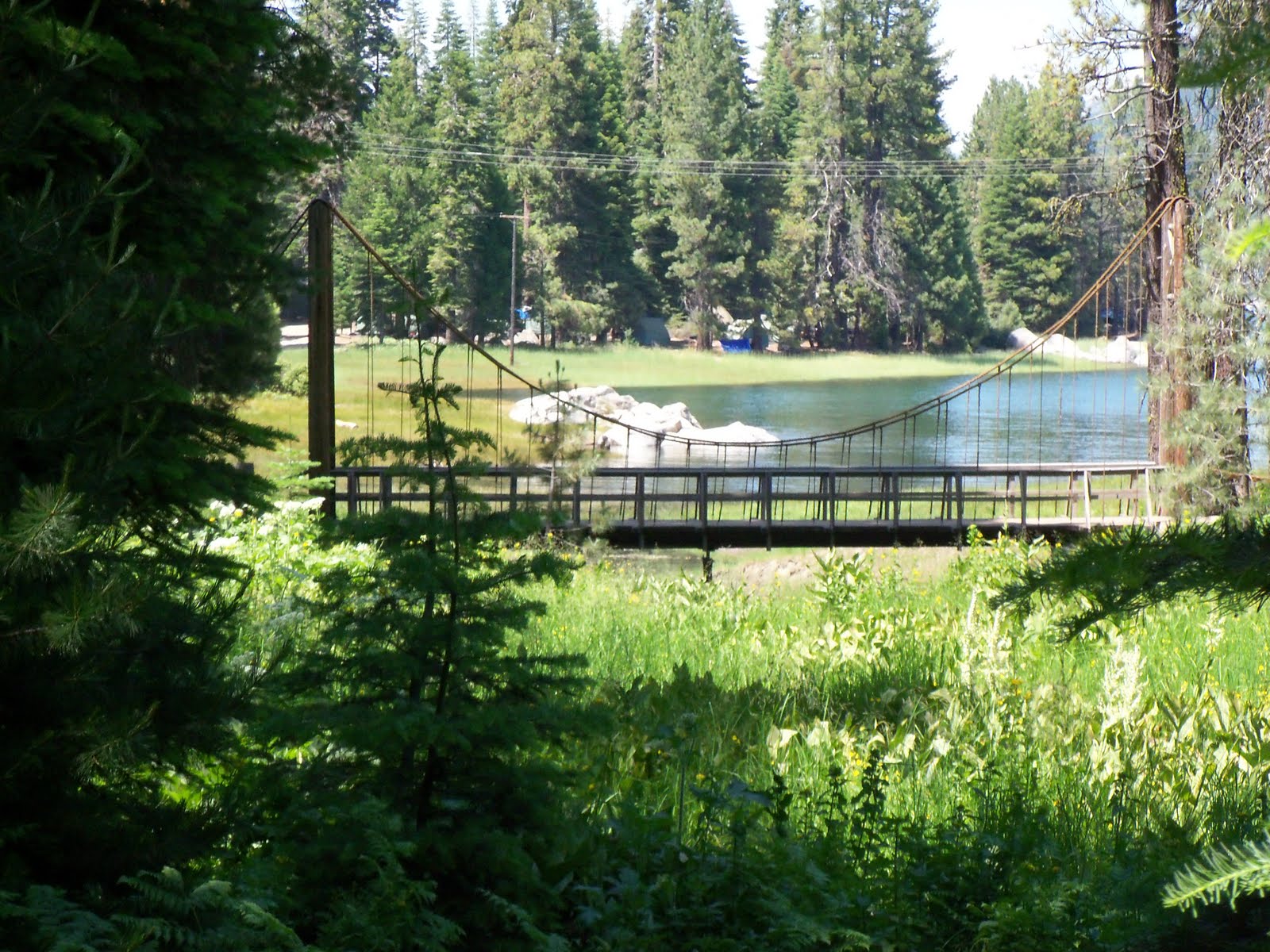 Anaheim Troop 159: Chawanakee Summer Camp 2010