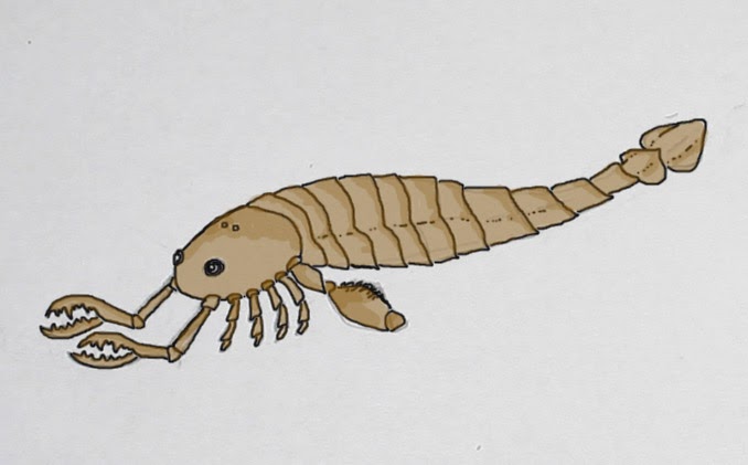 Jaekelopterus Rhenaniae The Giant Sea Scorpion