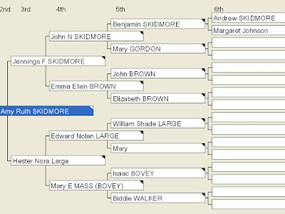 Joan's Family Pictures: Skidmore Family Tree
