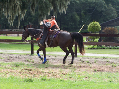 Denny Chapman's Wild West Entertainment and Specialty Training: Trick ...