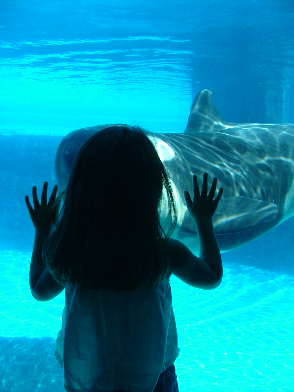 epistoli: The Records of the Sons of Seir, the Horite - Genesis 36:20-30