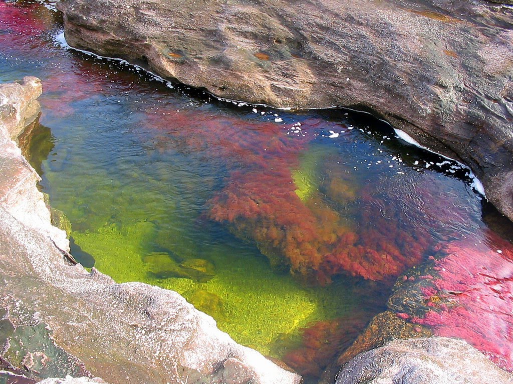 AVENTURA EN LA MACARENA: El Rio de Cinco Colores