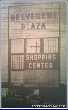 BELVEDERE PLAZA SHOPPING CENTER ~ DECATUR, GA: Belevedere Plaza History