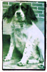 NEXT STOP...DECATUR: Mathis Dairy Exhibit @ Old Court House