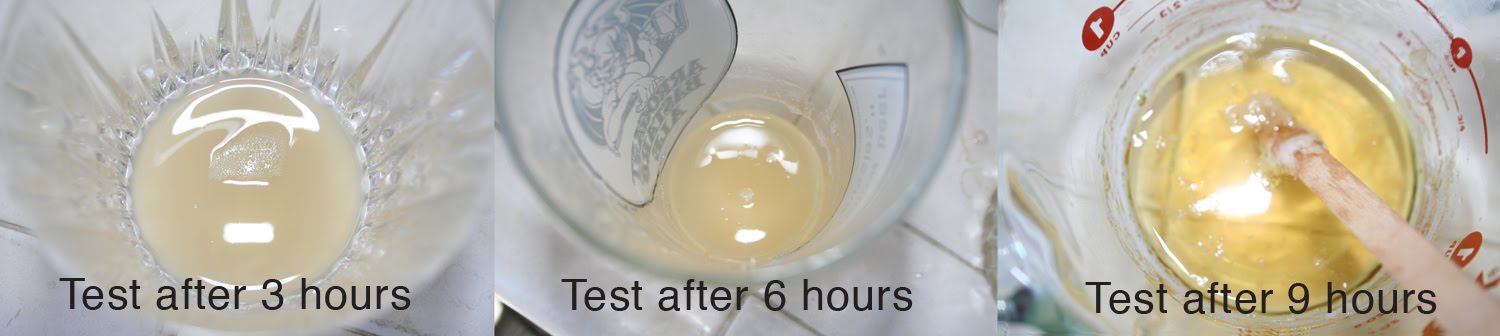 Naiad Soap Arts: Liquid soap is a success - sort of