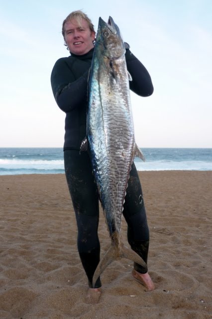 Coatesman's Spearfishing & Waterman's Blog: Spearfishing Big Fat Return ...