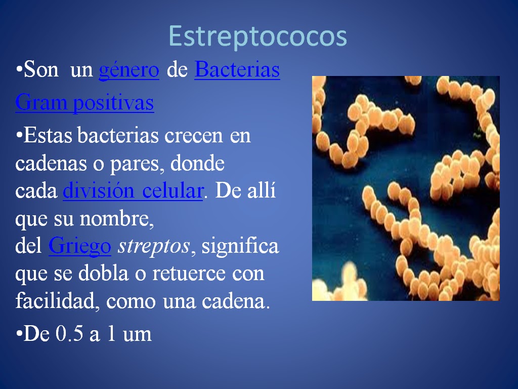 Estreptococos: Diapositivas Estreptococo