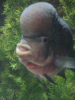 ♥♥♥ Story beHind dE ScenE ♥♥♥