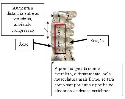 Pilates de Solo Renata Batista: Alongamento axial: como acontece?