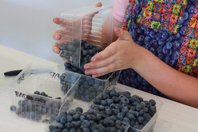 Amy's Blog: Berry sorting