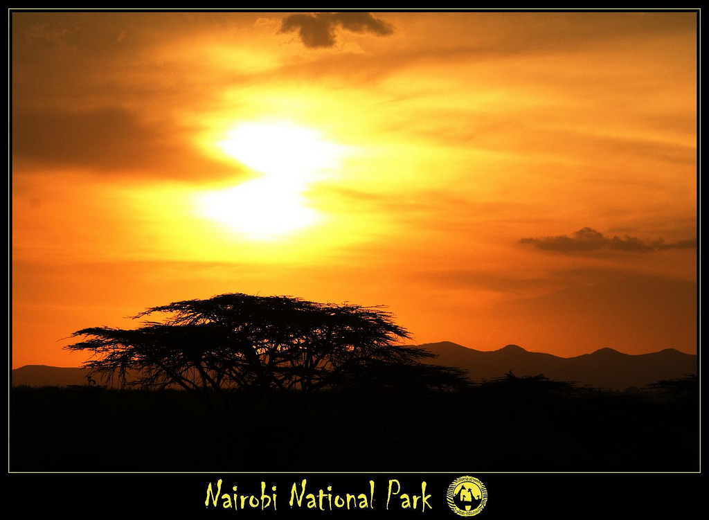 bobfrase: O Parque Nacional de Nairóbi