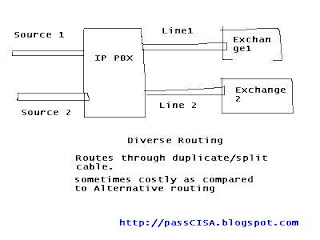 CISA made Easy - Easy CISA Preparation: Learn Diverse routing and ...