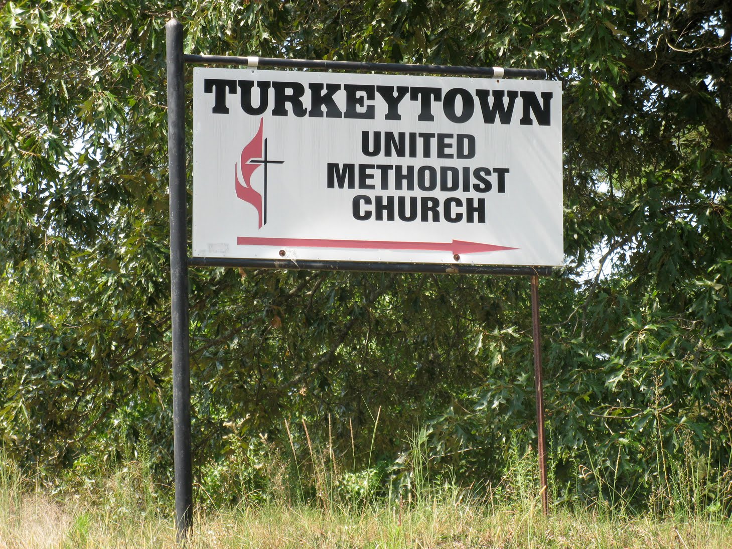 Eccentric Roadside: Happy Thanksgiving from Turkeytown