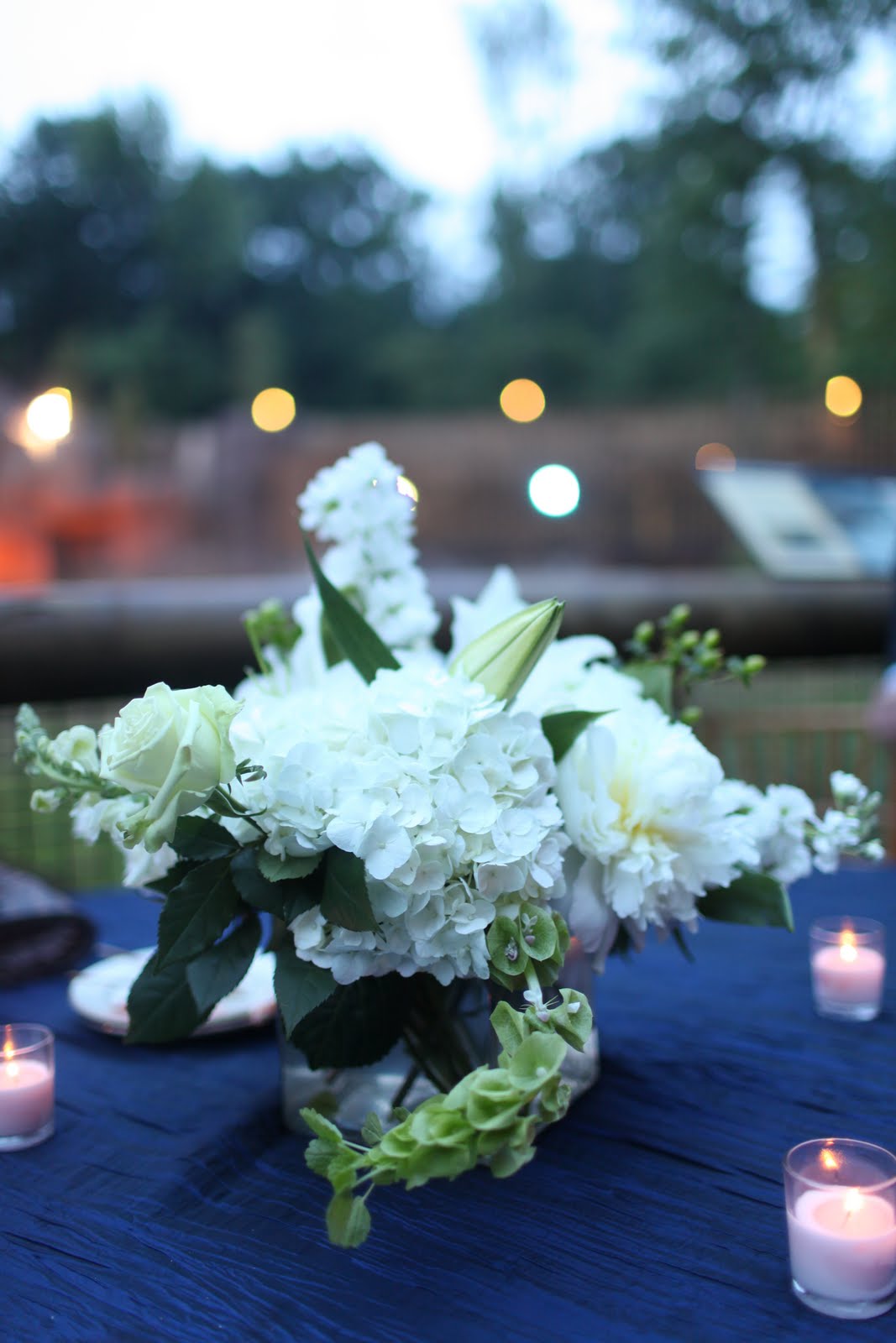 J.Bailey Occasions: Chelsea Rose and Seth Jewell say I DO in Memphis ...