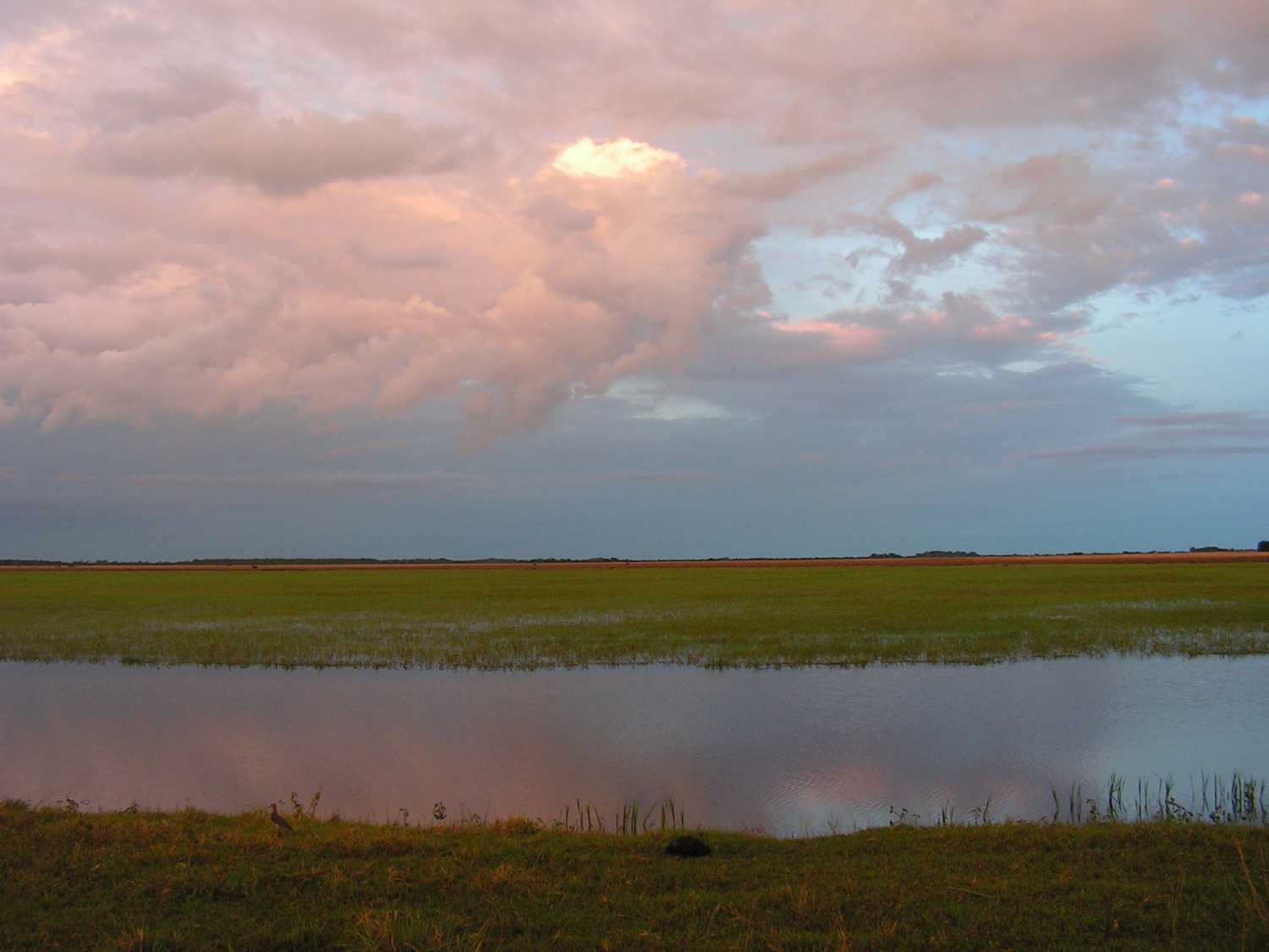 RETRATOS DEL MUNDO: Los Llanos-VENEZUELA