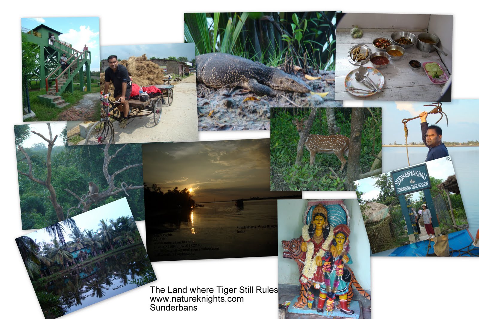 Nature Knights: Eco-Tour Sunderbans