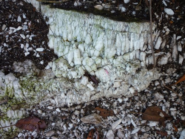 Ibi Benefici Locus Est: High Altitude Adventures at the Klang Gates ...