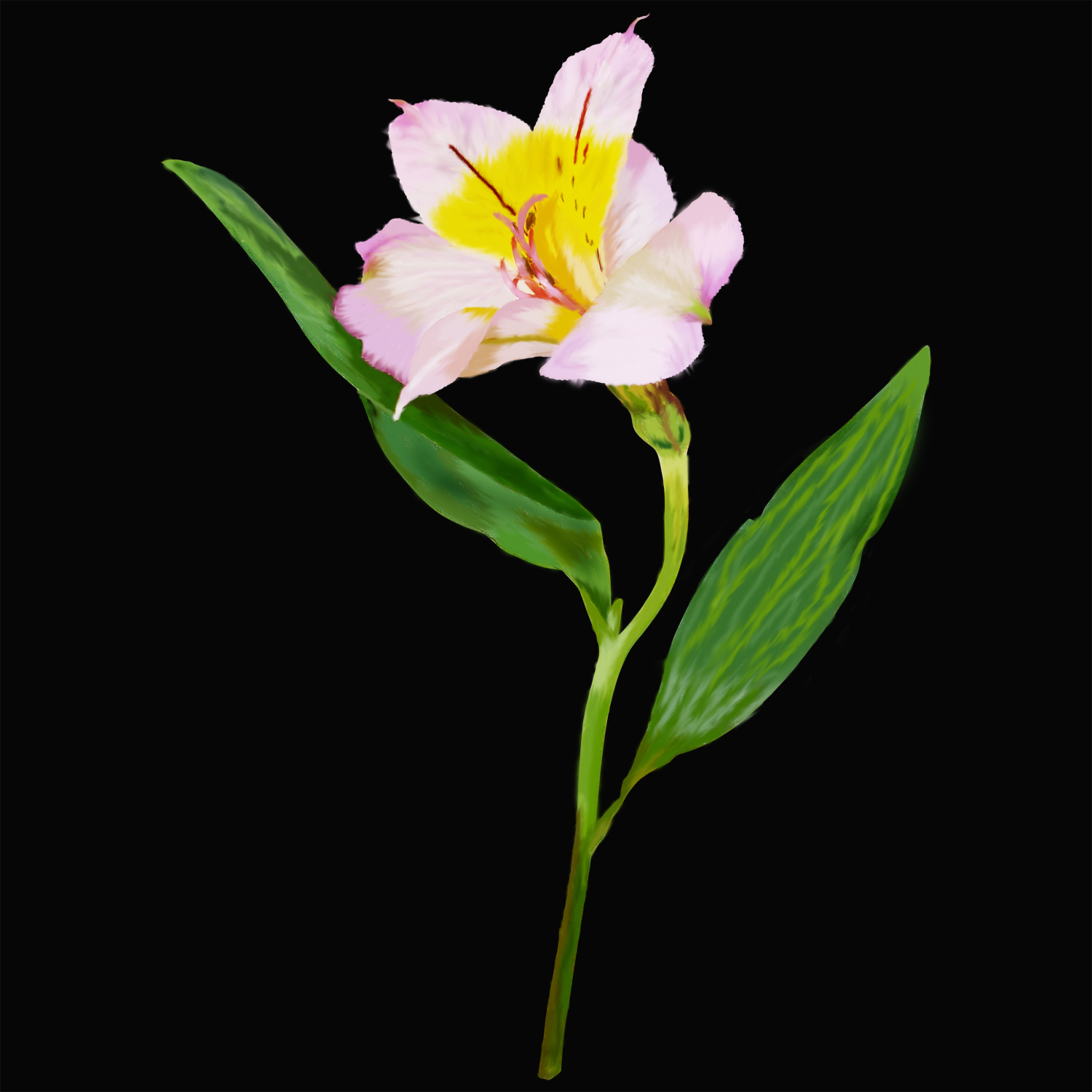 Всё смешалось....: Новый конкурс