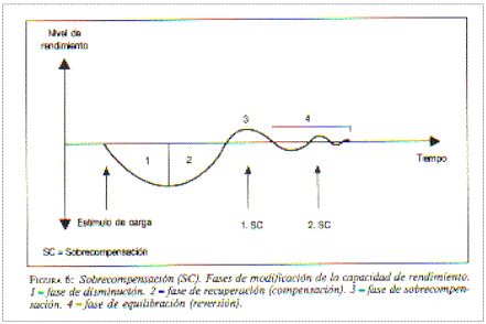 Pedro Serna Running: Entrenamientos - Generalidades