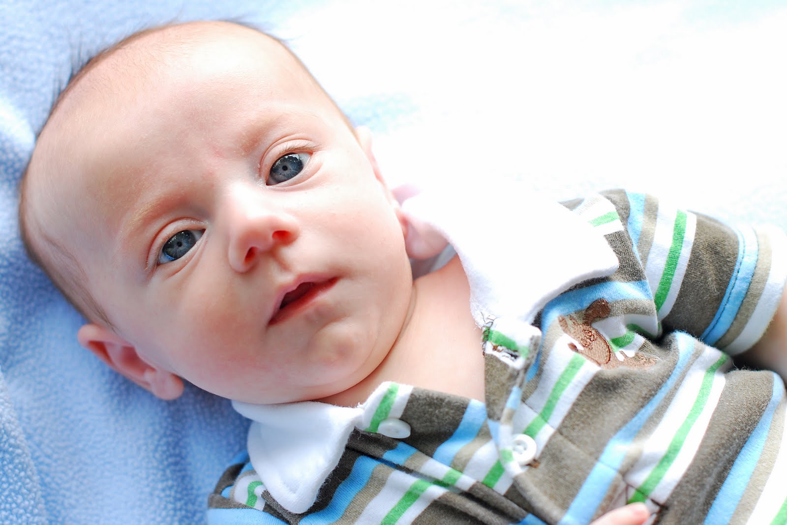 Semenick family: Baby Dylan