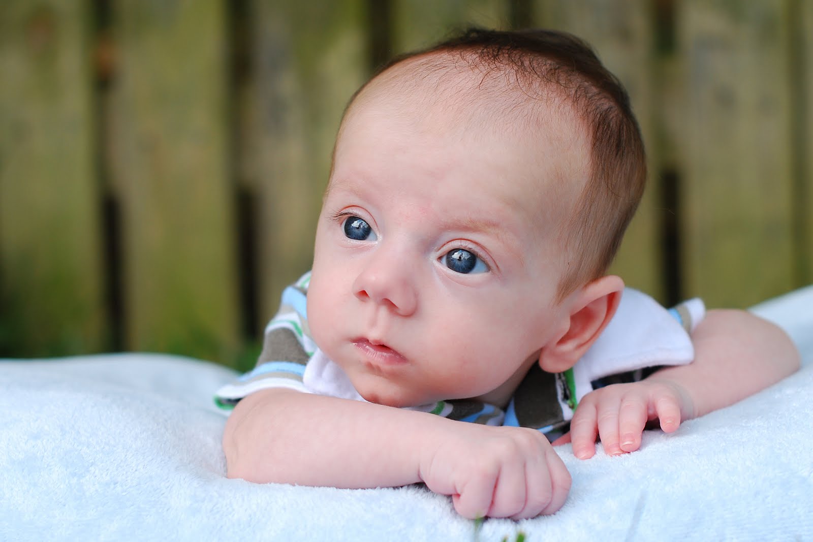 Semenick family: Baby Dylan