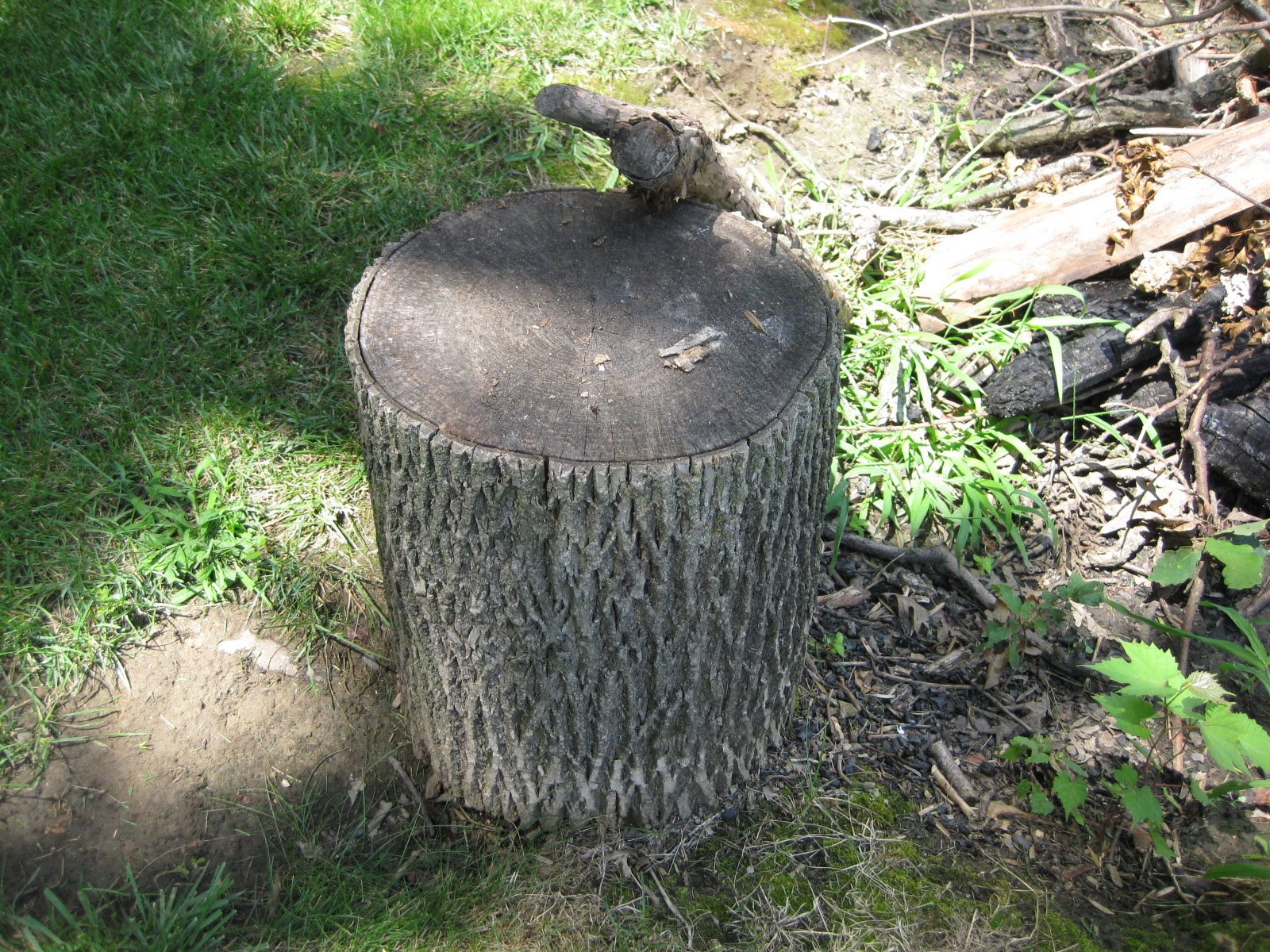 Henrietta's House: Tree Stump Side Table