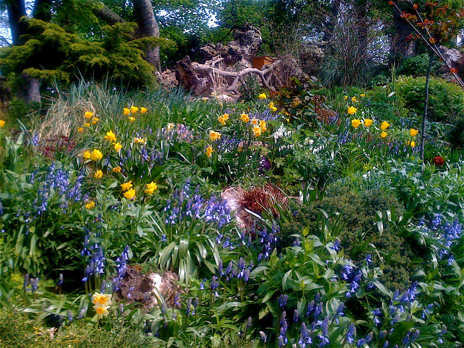 Postcards from Paris: April in Paris...